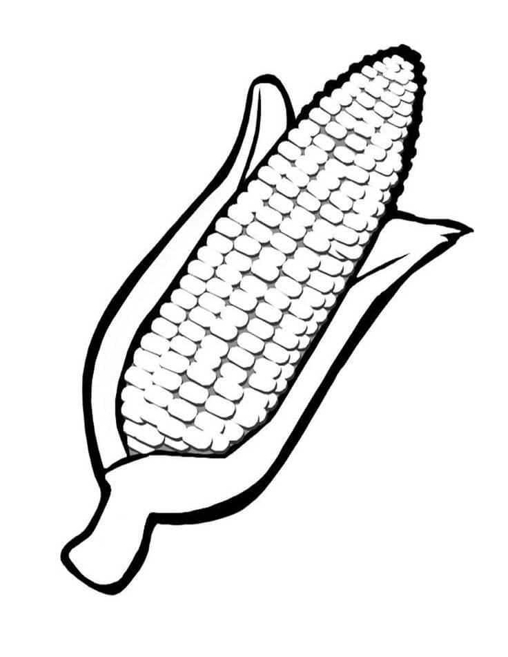 Buen Maíz para colorear, imprimir e dibujar –ColoringOnly.Com