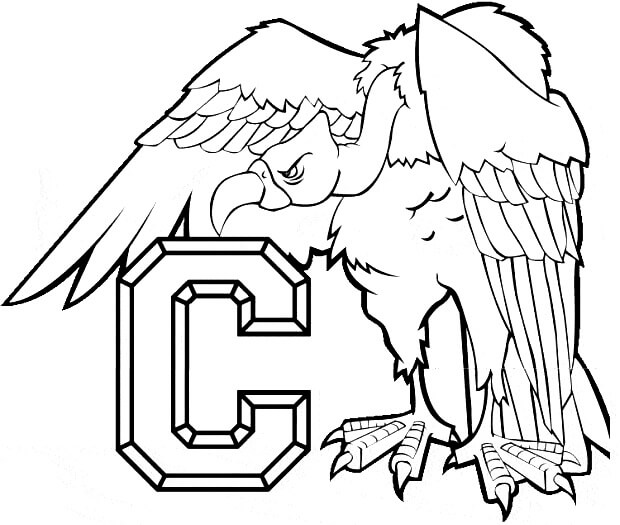 Cóndor Andino para colorear, imprimir e dibujar –ColoringOnly.Com