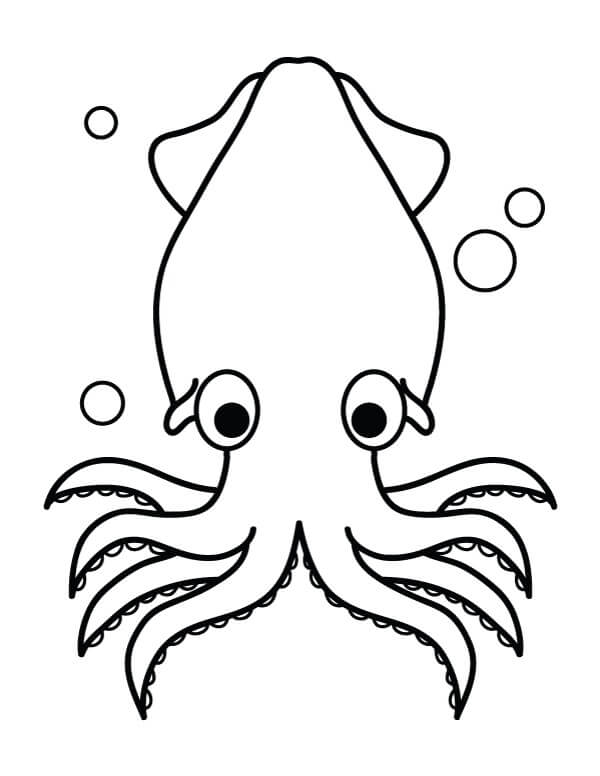 Dibujos de Calamar para colorear e imprimir– ColoringOnly.Com