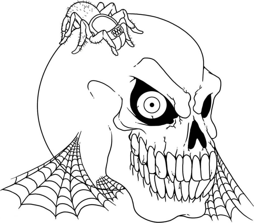 Calavera con Araña para colorear, imprimir e dibujar –ColoringOnly.Com