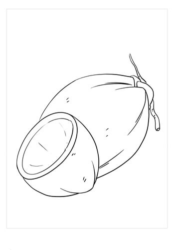 Dibujos de Fruta de Coco para colorear e imprimir– ColoringOnly.Com