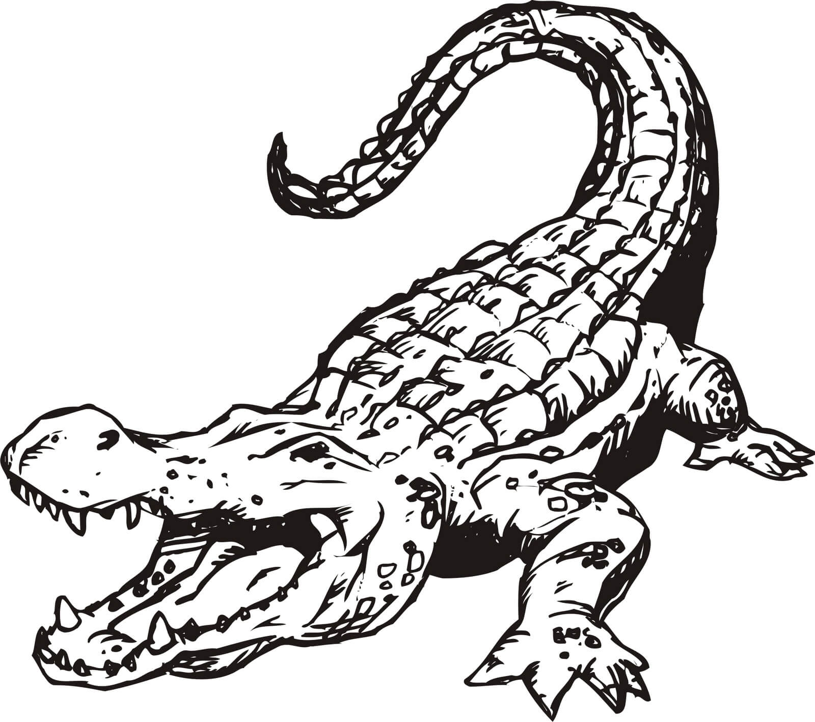 Dibujos de Caimán para colorear e imprimir– ColoringOnly.Com
