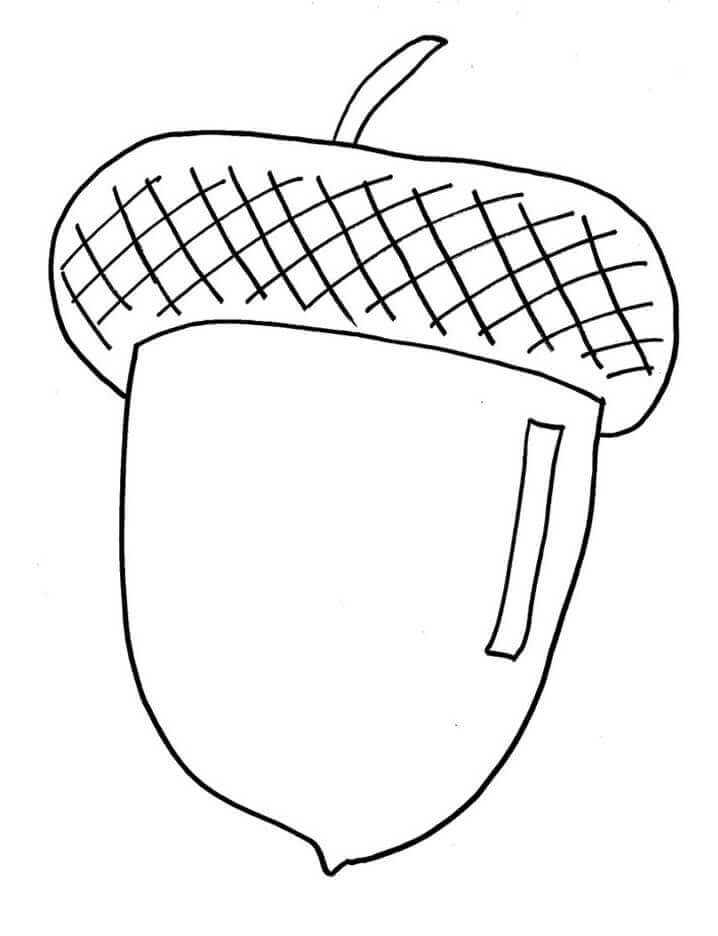 Dibujo De Bellota Para Colorear Imprimir E Dibujar ColoringOnly Com