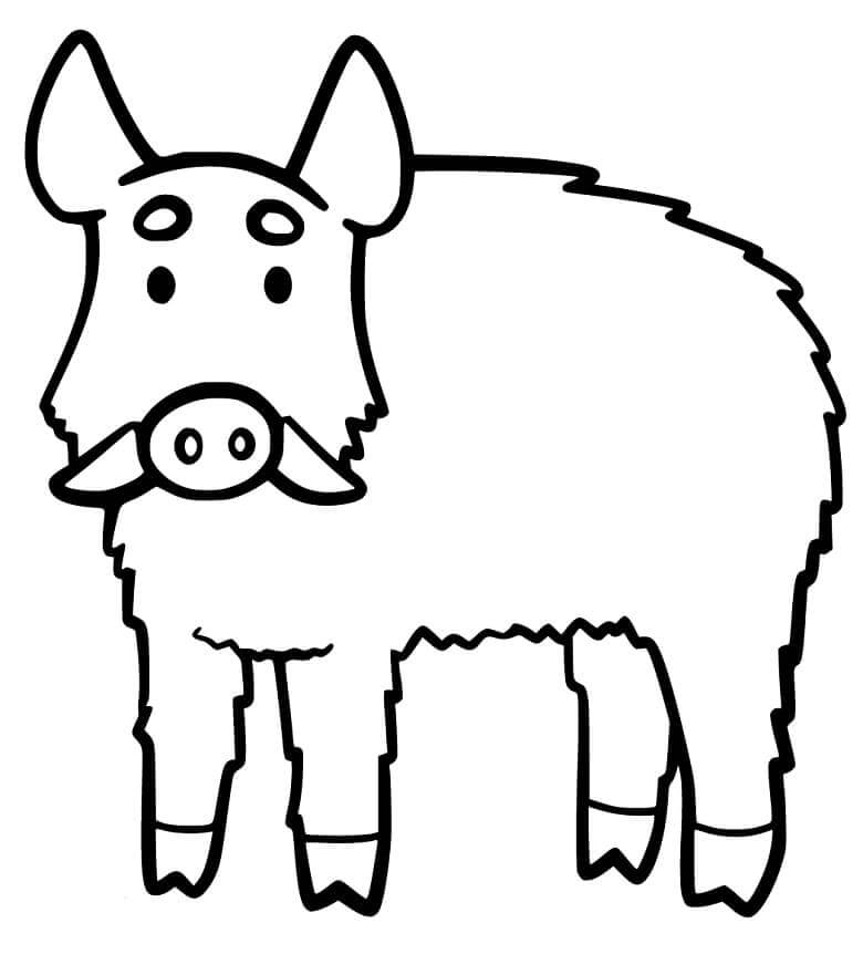 Dibujos de Jabalí para colorear e imprimir– ColoringOnly.Com