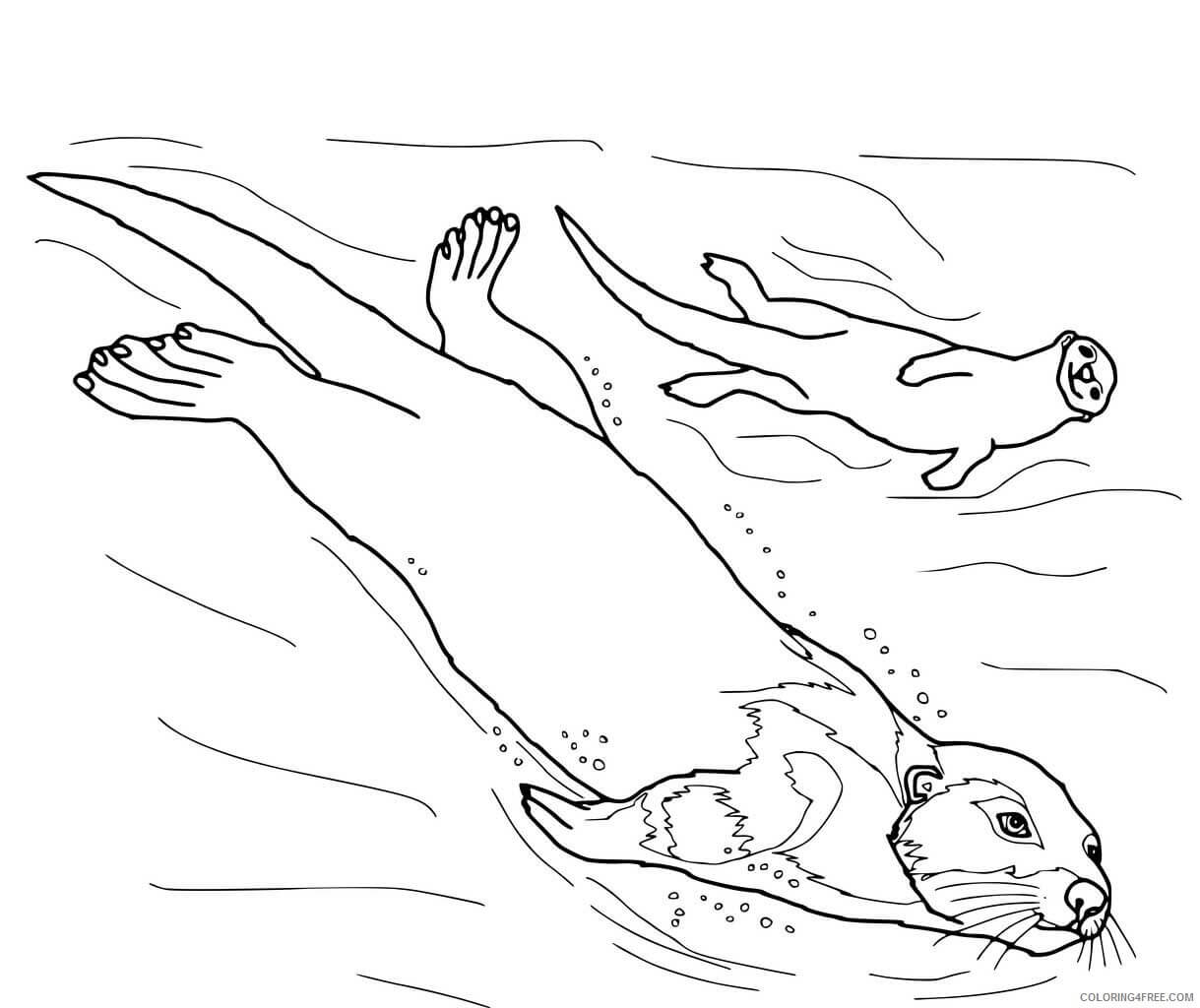 Dibujos de Nutria para colorear e imprimir– ColoringOnly.Com