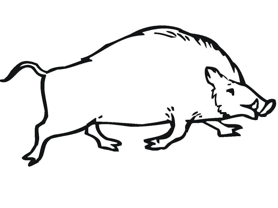 Jabalí Fácil para colorear, imprimir e dibujar –ColoringOnly.Com
