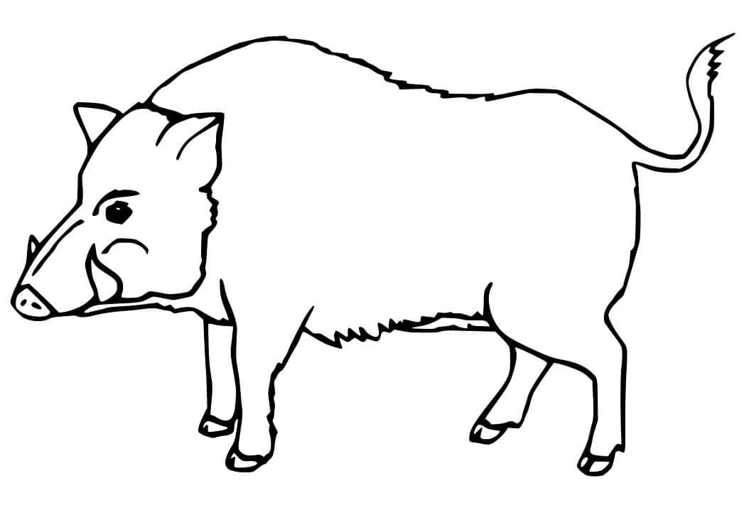 Jabalí Libre para colorear, imprimir e dibujar –ColoringOnly.Com