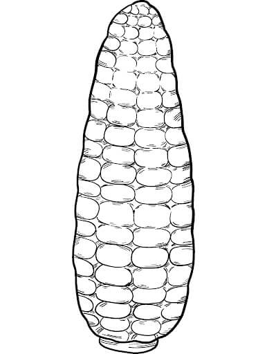 Mazorcas De Maiz para colorear, imprimir e dibujar –ColoringOnly.Com
