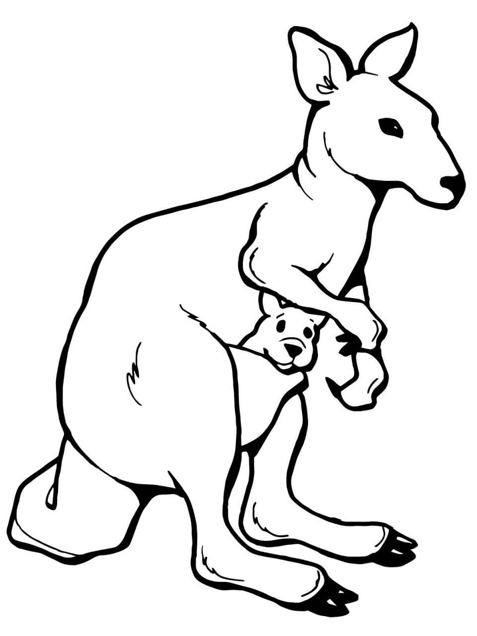 Dibujos de Canguro para colorear e imprimir– ColoringOnly.Com