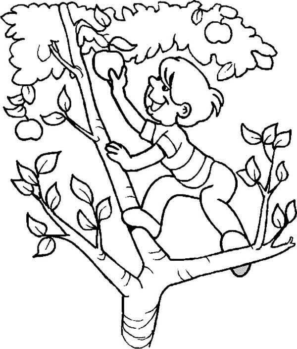 Dibujos de Escalada para colorear e imprimir– ColoringOnly.Com