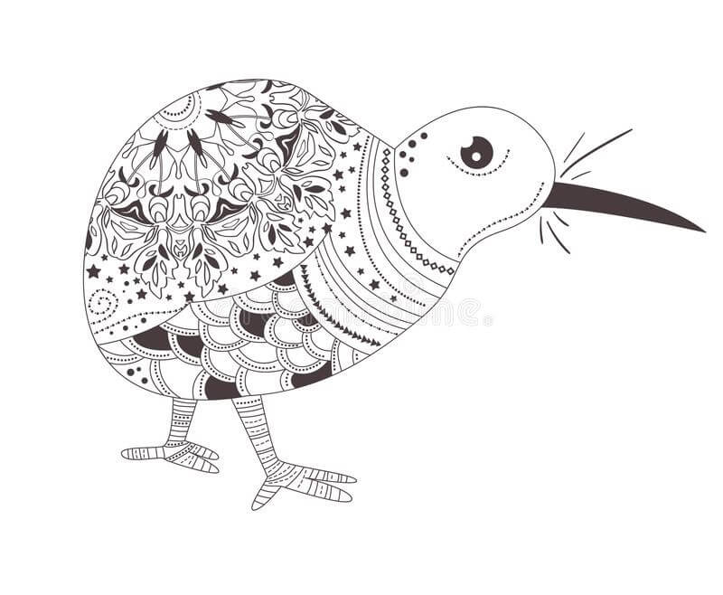 Pájaro Kiwi Adulto para colorear, imprimir e dibujar –ColoringOnly.Com