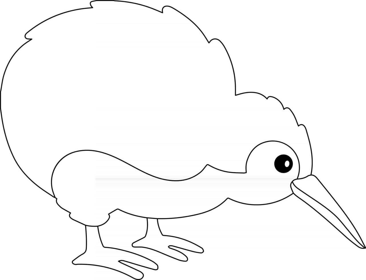 Pájaro Kiwi Perfecto para colorear, imprimir e dibujar –ColoringOnly.Com