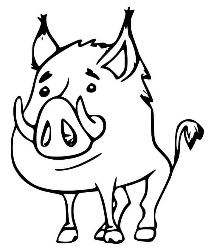 Dibujos de Jabalí para colorear e imprimir– ColoringOnly.Com