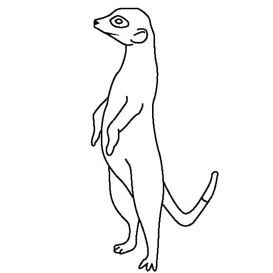 Suricata Fácil de Pie para colorear, imprimir e dibujar –ColoringOnly.Com
