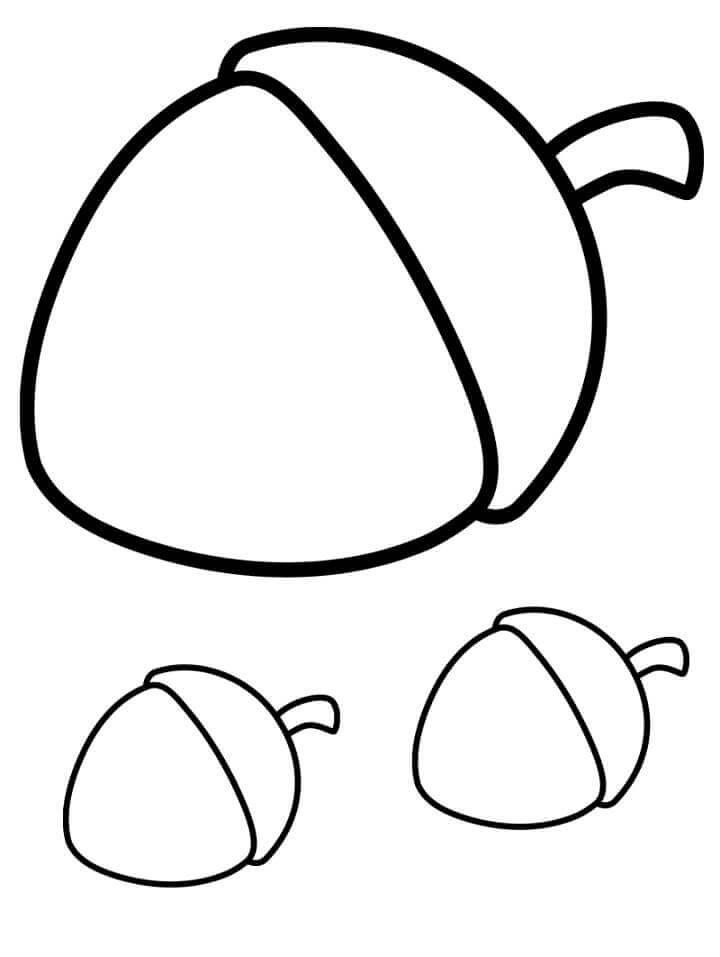 Dibujos De Bellota Para Colorear E Imprimir ColoringOnly Com
