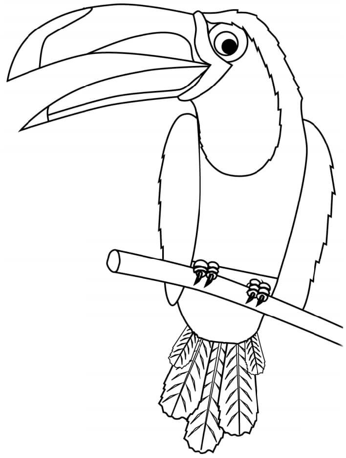 Dibujos de Tucán para colorear e imprimir– ColoringOnly.Com