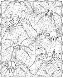 Dibujos de Araña para colorear e imprimir– ColoringOnly.Com