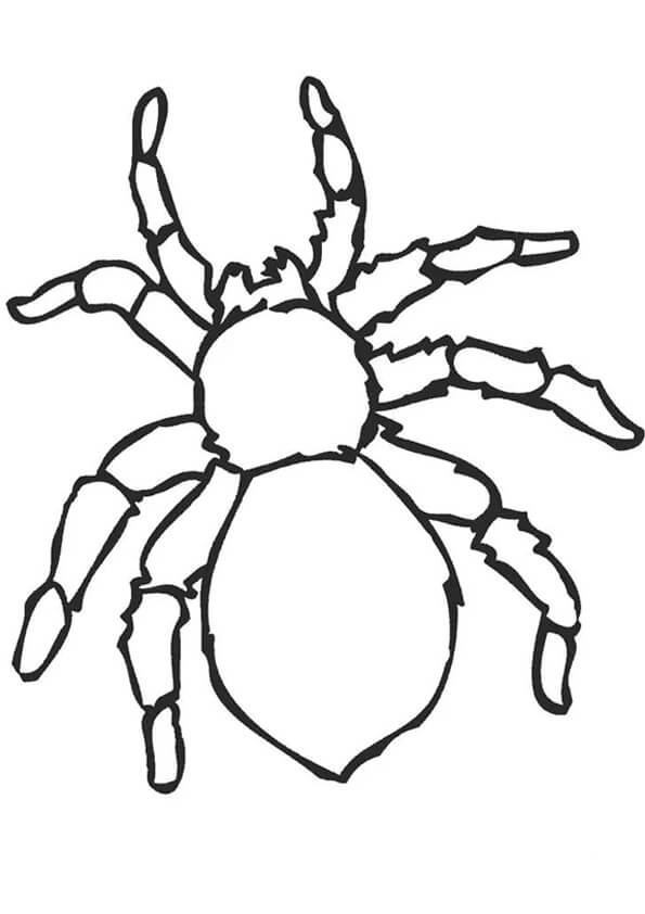 Araña Impresionante para colorear, imprimir e dibujar –ColoringOnly.Com