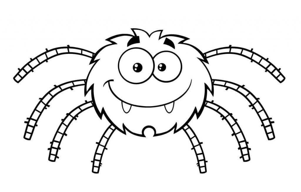 Bonita Araña para colorear, imprimir e dibujar –ColoringOnly.Com