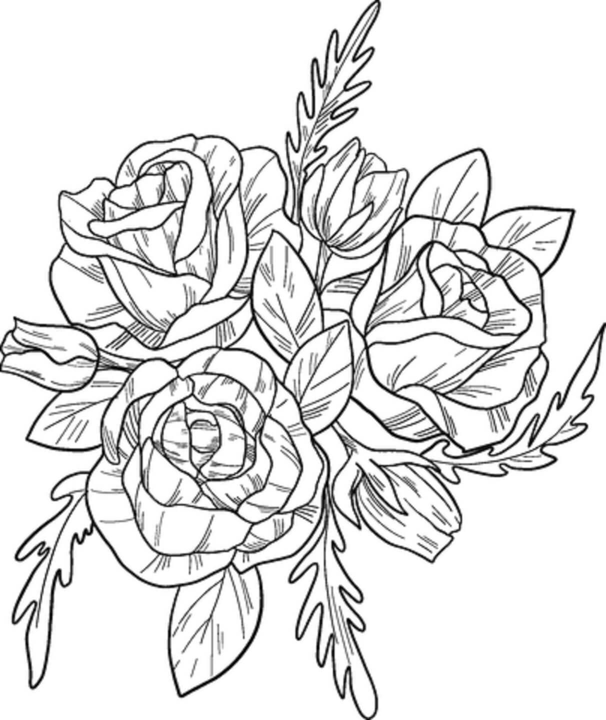 Dibujos de Rosas para colorear e imprimir– ColoringOnly.Com