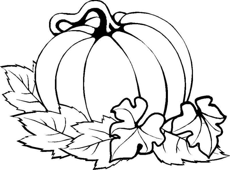 Dibujos de Calabaza para colorear e imprimir– ColoringOnly.Com
