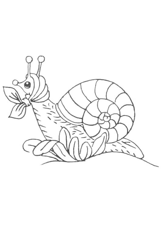 Caracol Imprimible para colorear, imprimir e dibujar –ColoringOnly.Com