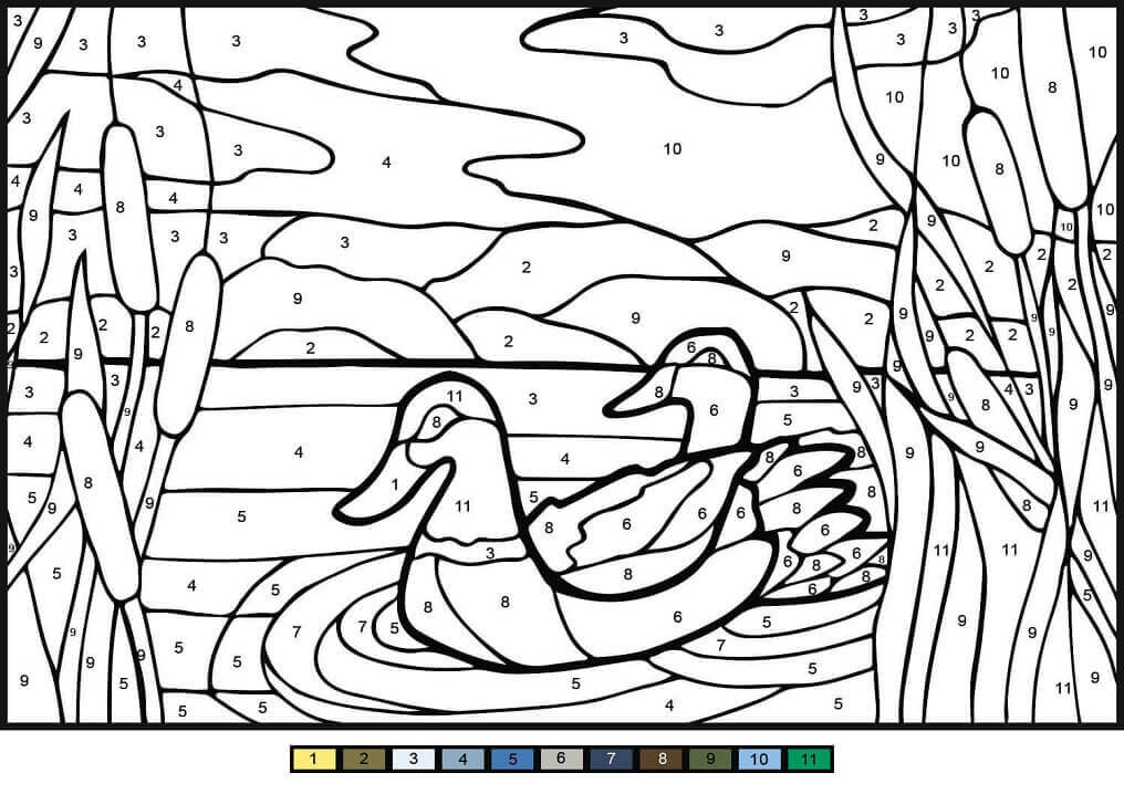 Dibujos de Pato para colorear e imprimir– ColoringOnly.Com
