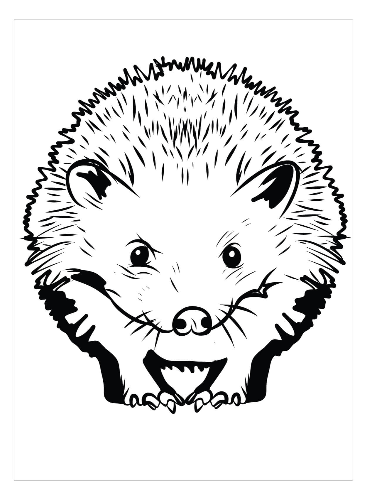 Erizo Realista para colorear, imprimir e dibujar –ColoringOnly.Com