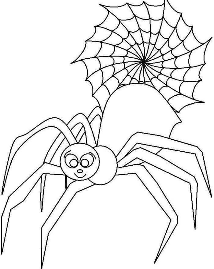 Dibujos de Araña para colorear e imprimir– ColoringOnly.Com
