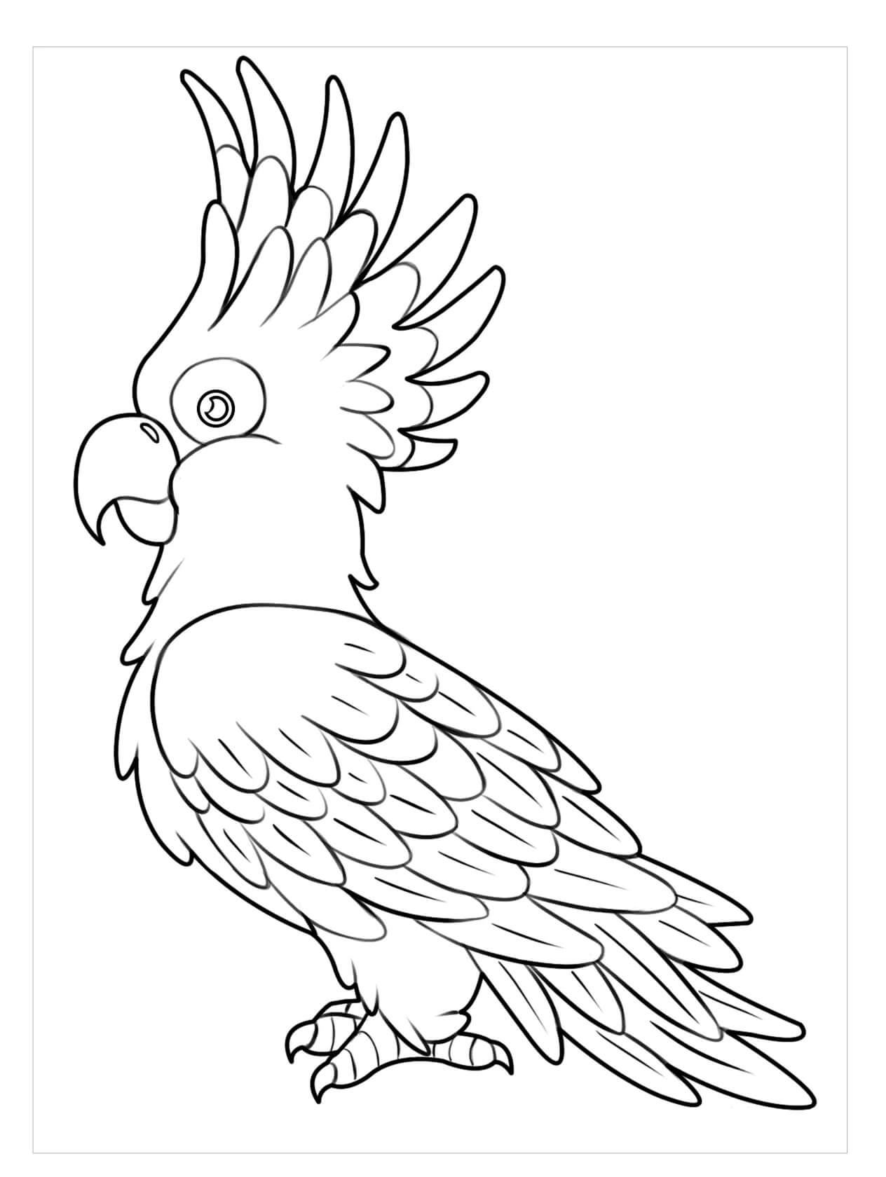 Dibujos de Loro para colorear e imprimir– ColoringOnly.Com