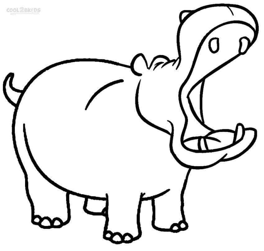 Dibujos de Hipopótamo para colorear e imprimir– ColoringOnly.Com
