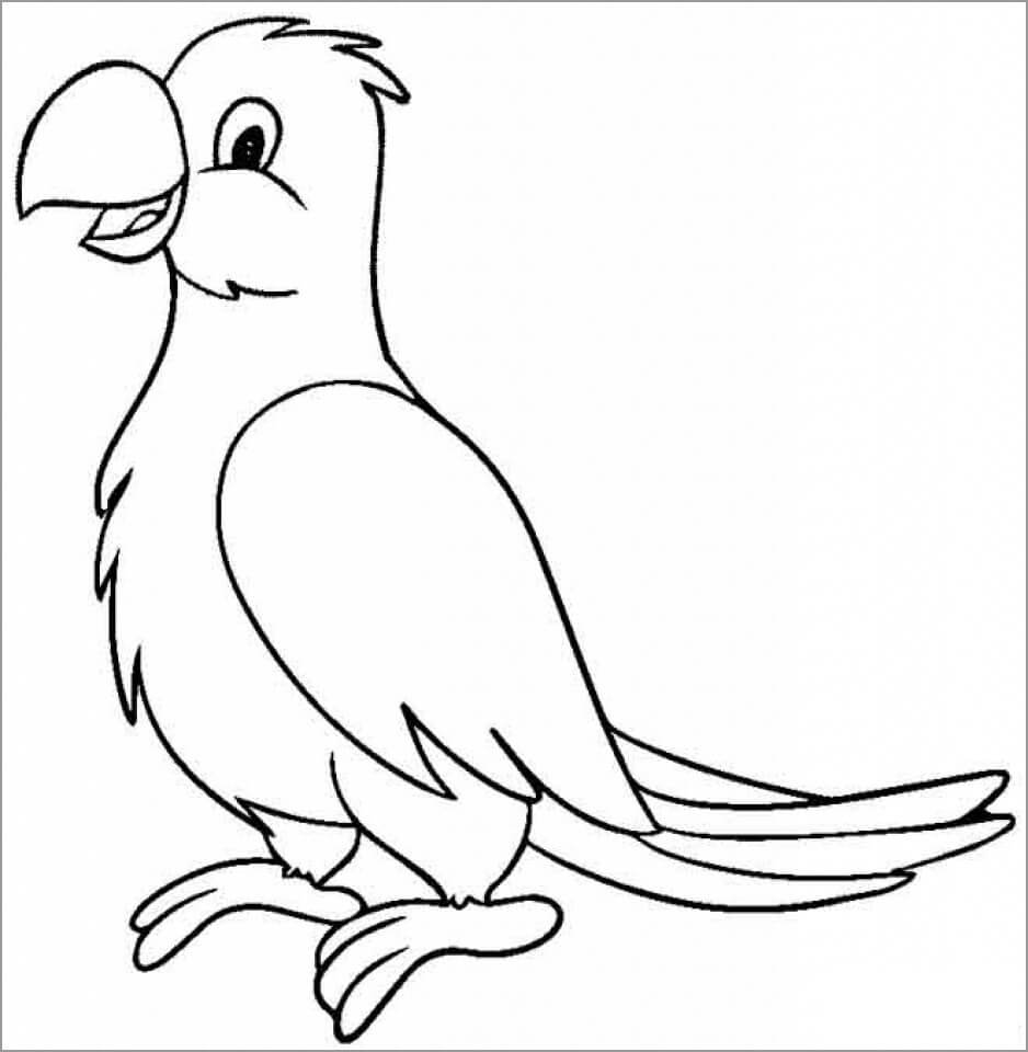 Loro Imprimible para colorear, imprimir e dibujar –ColoringOnly.Com