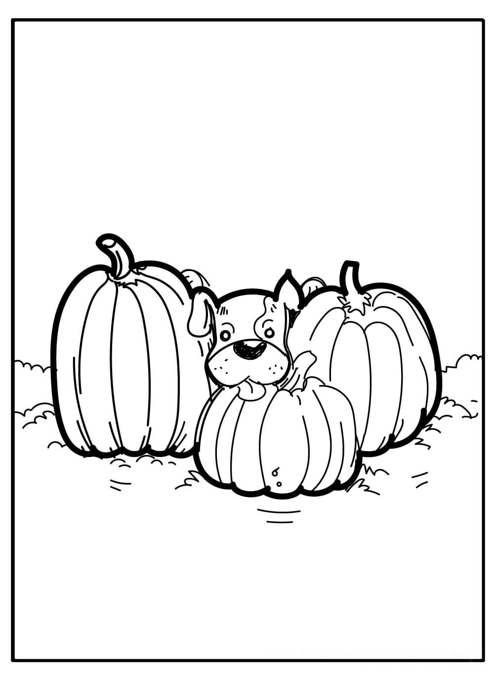 Calabaza en Otoño para colorear, imprimir e dibujar –ColoringOnly.Com