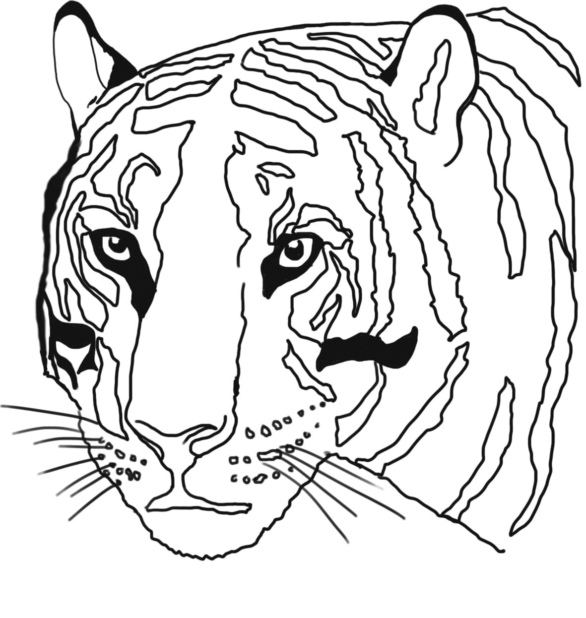 Coloriage T te De Tigre T l charger Et Imprimer Gratuit
