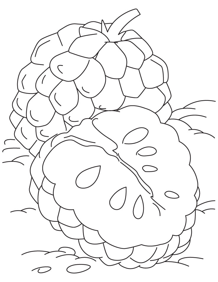 Pineapple Coloring Page