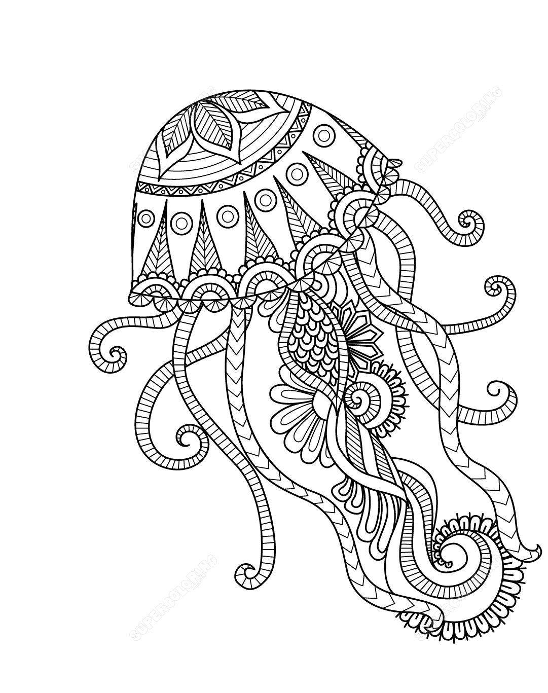 Jellyfish Mandala Coloring Page Free Printable Coloring Pages For Kids Jellyfish Mandala Coloring Page Free Printable Coloring Pages For Kids