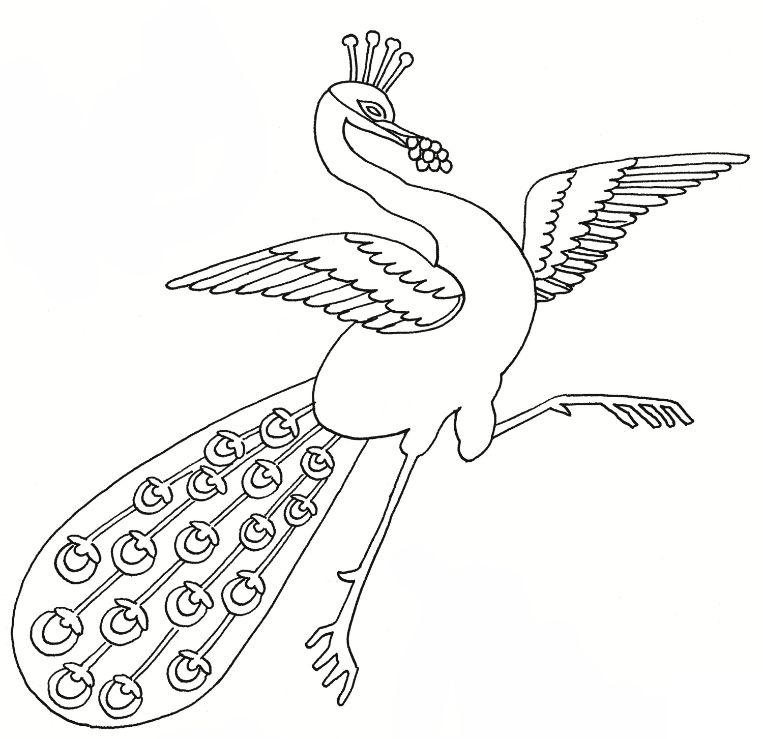 Peacock To Color Coloring Page Free Printable Coloring Pages For Kids