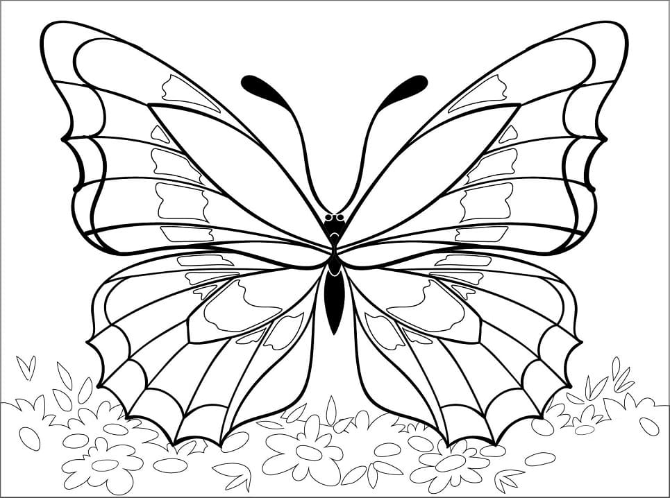 Amazing Butterfly Coloring Page Free Printable Coloring Pages For Kids Amazing Butterfly Coloring Page Free Printable Coloring Pages For Kids