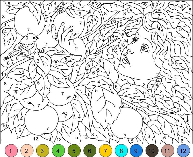 Color By Number For Adult
