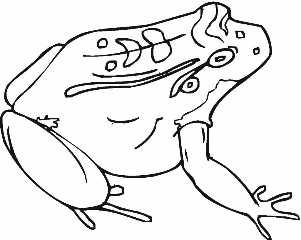 Toad Coloring Page