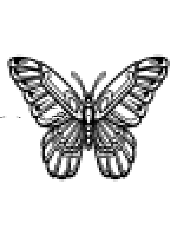 Beautiful Butterfly Coloring Pages - Free Printable Coloring Pages for Kids