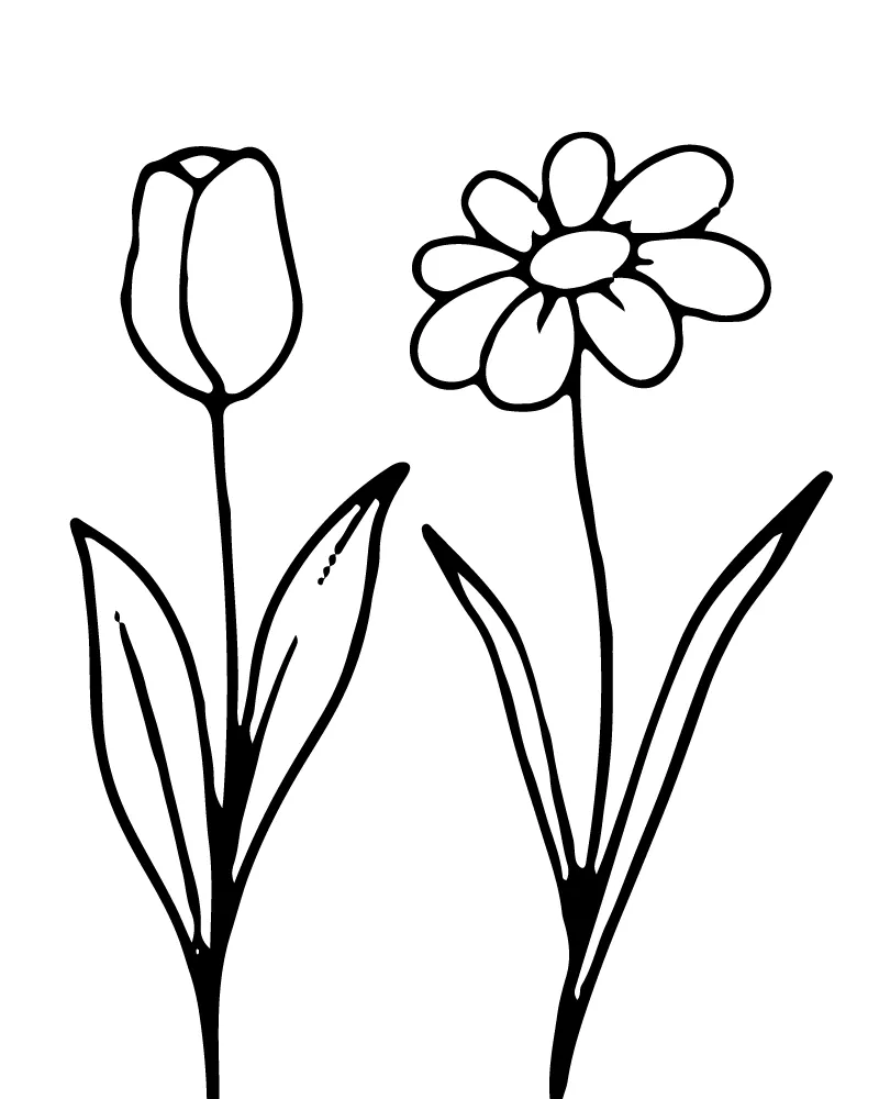 Floral Coloring Page