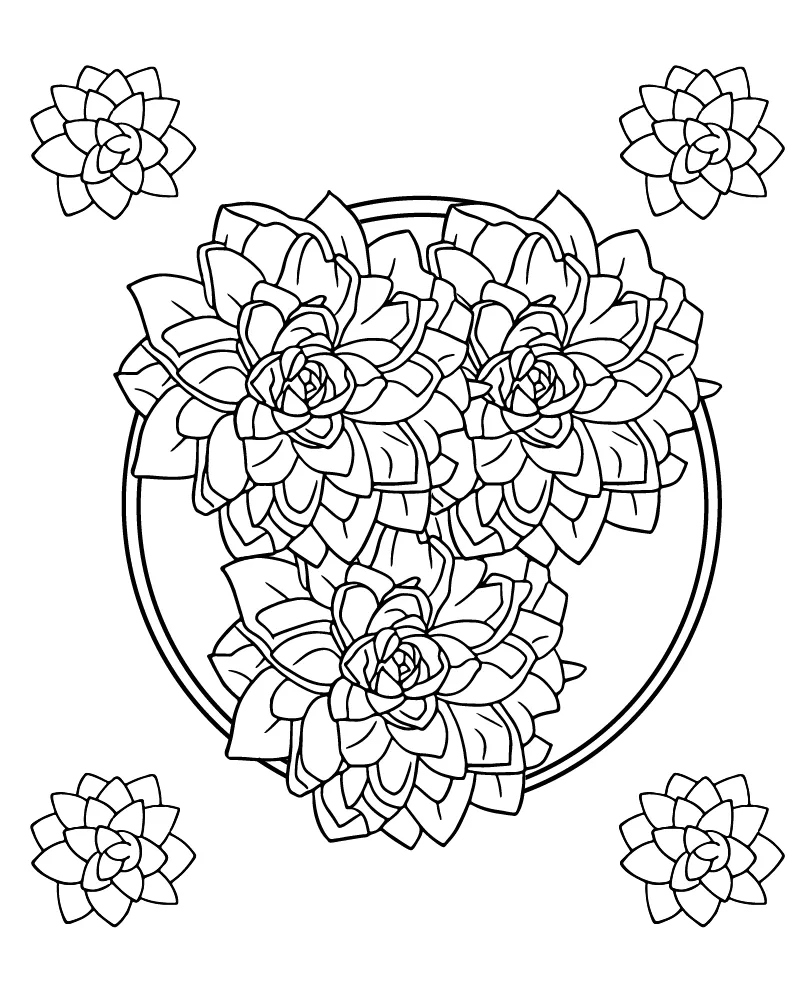 Cute Succulent Coloring Page