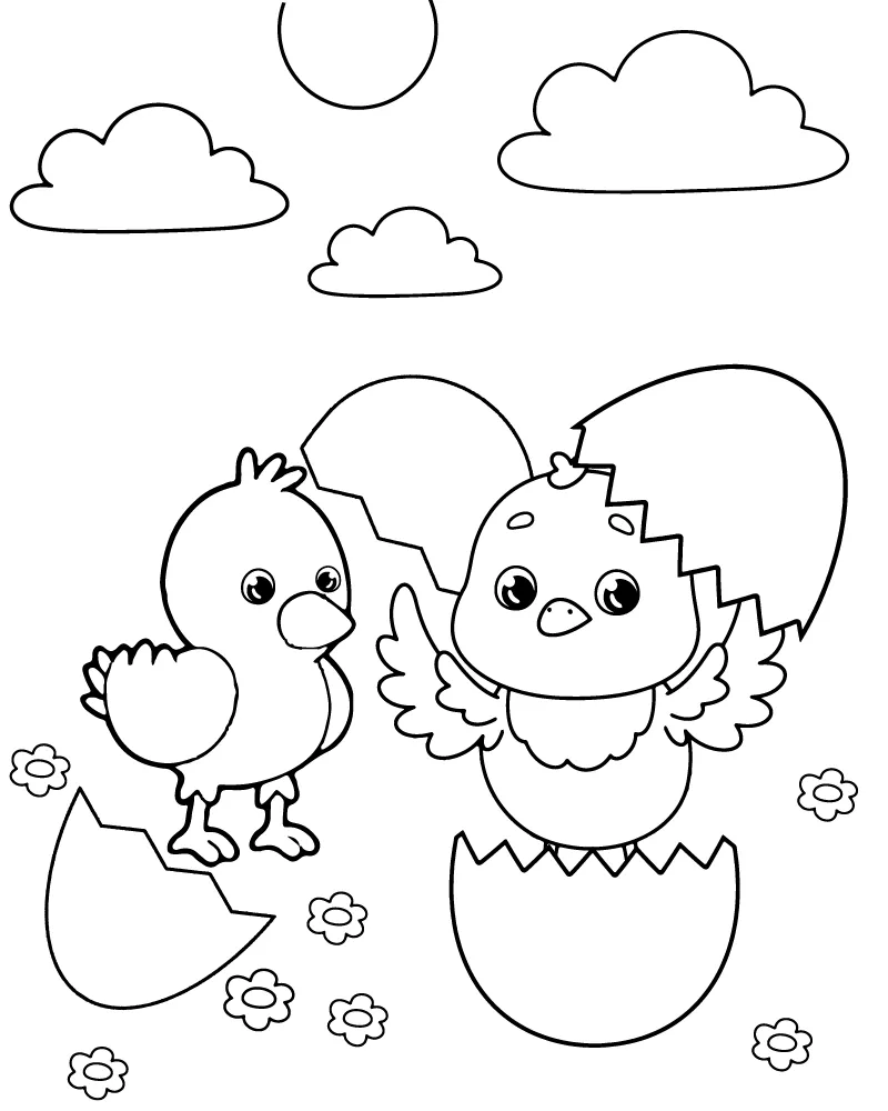 Baby Chick Coloring Page