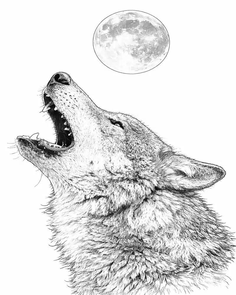 Howling Wolf With Moon Coloring Page