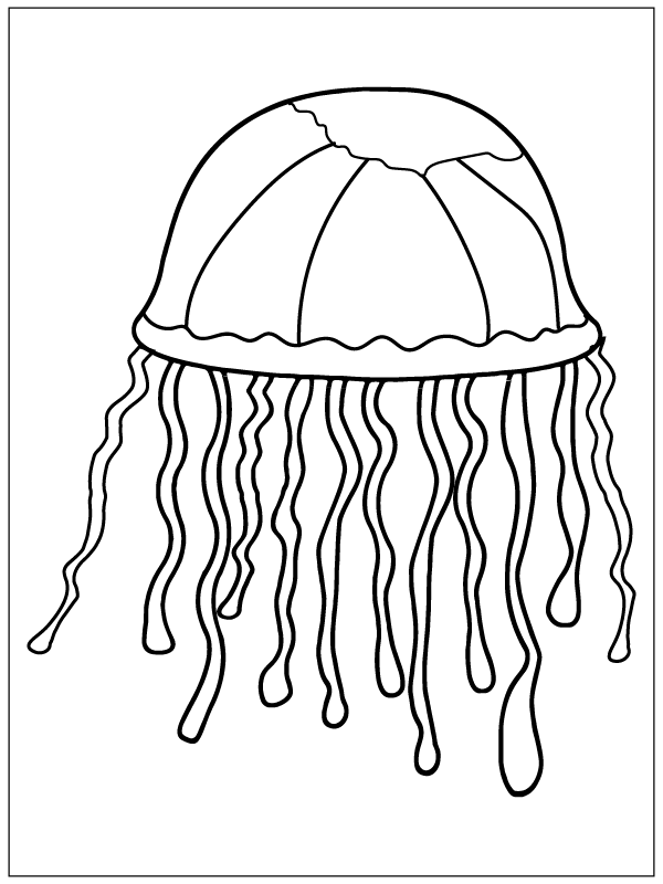 Jellyfish Coloring Medusas Qualle Meduse Kwallen Quallen Malvorlage ...