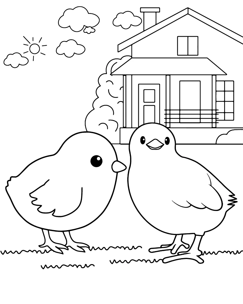 Baby Chick Coloring Page