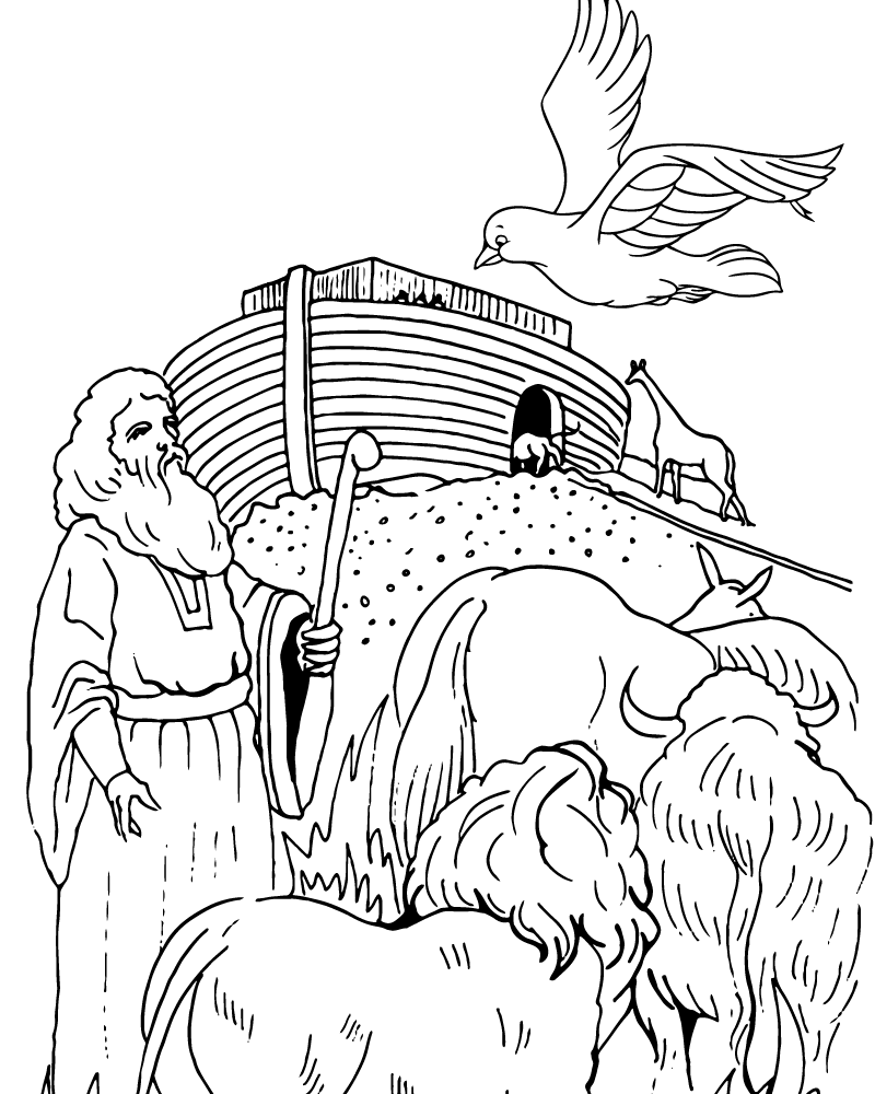 Noah Coloring Dove Bible Pages Returns Kids Printable Sunday Colouring ...