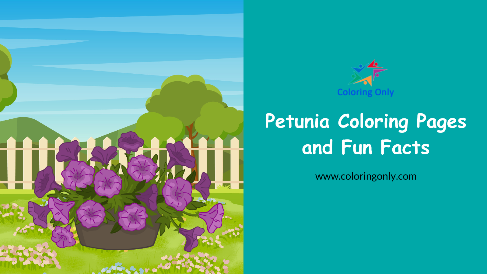 Petunia Coloring Pages And Fun Facts Coloring Page Free Printable