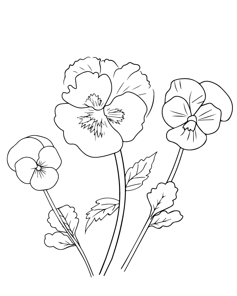 Floral Coloring Page